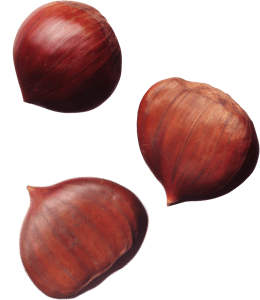 Chestnut Brown color hex code is #5D2F27