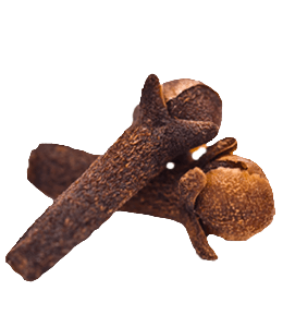 Clove color hex code is #876155