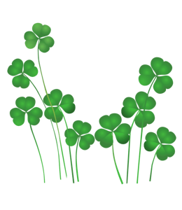 Clover Green color hex code is #39993A