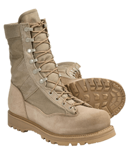 Military Tan color hex code is #A89881