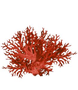 Coral Red (RAL) color hex code is #A43C30