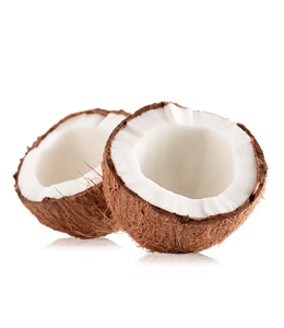 Coconut Cream color hex code is #EEE0DC