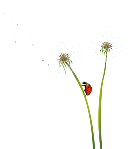 Fresh Air color hex code is #A6E7FF