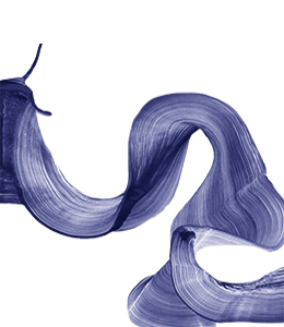 Deep Koamaru color hex code is #333366