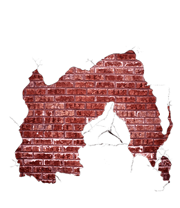 Brick Red (Pantone) color hex code is #8C373E