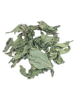 Mild Green color hex code is #789885