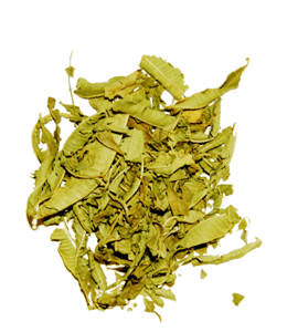 Lemon Verbena color hex code is #F4E87A