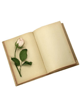 Faded Yellow color hex code is #ECE3A1