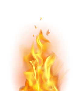 Fire Yellow color hex code is #FEDE17