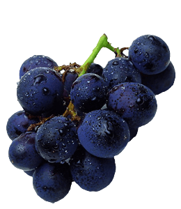 Grape (Pantone) color hex code is #433455