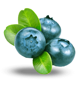 Juniper Berry Blue color hex code is #3F626E