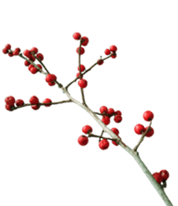 Holly Berry color hex code is #B44E5D