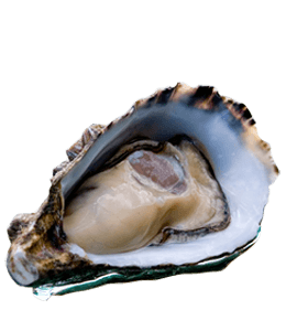 Oyster color hex code is #D7C9B1