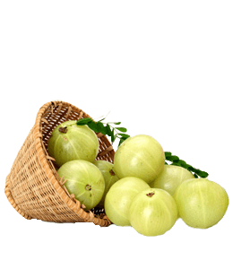 Gooseberry Yellow color hex code is #C7A94A