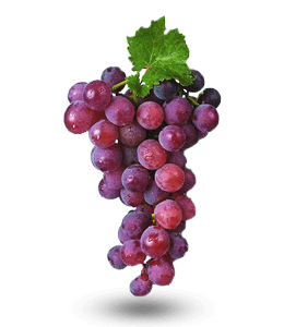 Montana Grape color hex code is #6C5971