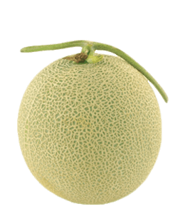 Green Melon color hex code is #D3E2AF