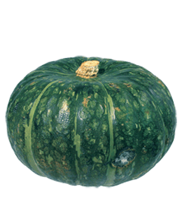 Pumpkin Green Black color hex code is #183425