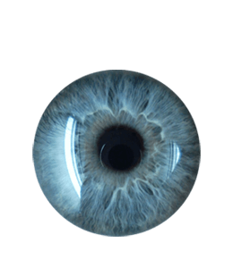 Eye Grey color hex code is #607B7B