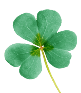 Irish Spring color hex code is #42B17B