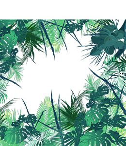 Jungle Green color hex code is #29AB87