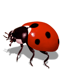 Ladybug Red color hex code is #E71809