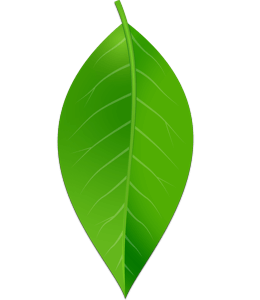 Bright Green color hex code is #66FF00