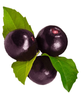 Açai color hex code is #5F3C4F