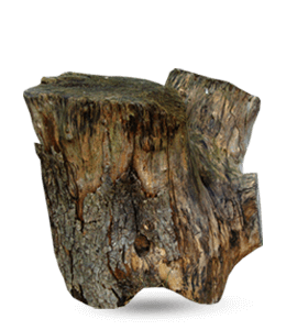 Bark Green color hex code is #514421