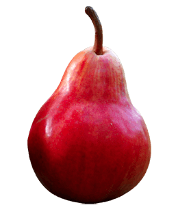 Red Pear color hex code is #7C3539