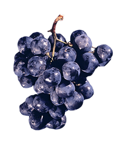 Grape Compote color hex code is #6B5876