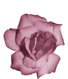 Old Rose color hex code is #A86E85