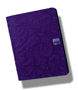 Paisley color hex code is #3C2064