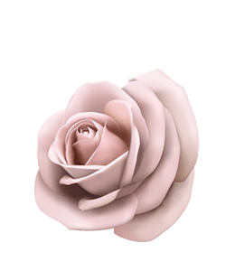 Pale Rose Gold color hex code is #CDB4B7