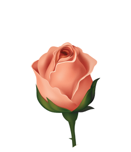 Delicate Rose color hex code is #F7E0D6