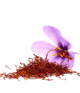 Light Saffron color hex code is #FFE797