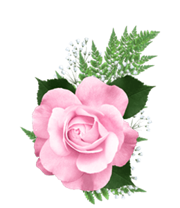 Amy color hex code is #FB9BCB