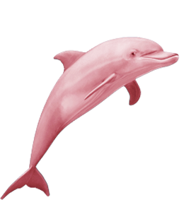 Pink Dolphin color hex code is #E8AFB6