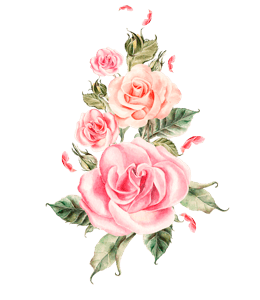 Misty Rose color hex code is #FFE4E1