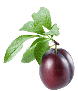 Dark Plum color hex code is #3D1A39