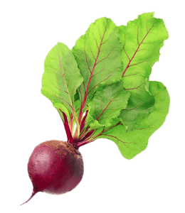 Reddish Magenta color hex code is #9D0B3E