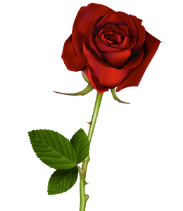 Natural Red color hex code is #9B1F21