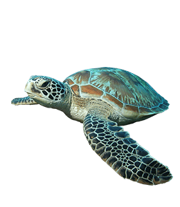 Sea Turtle Green color hex code is #5DA49C