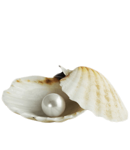 Double Pearl Lusta color hex code is #FCF4D0