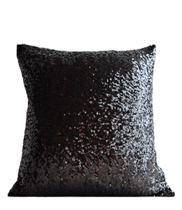 Premium Black color hex code is #100E09