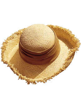 Straw color hex code is #E9C992