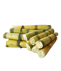 Sugarcane color hex code is #BDBE6C