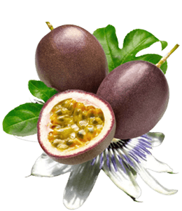 Passionfruit Mauve color hex code is #513E49