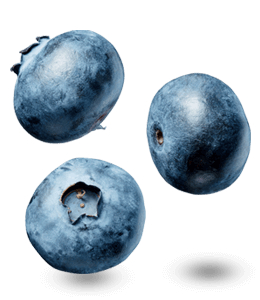 Blueberry Soft Blue color hex code is #5E96C3