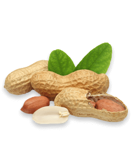 Peanut color hex code is #DBC9A6