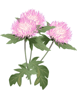 Thistle color hex code is #D8BFD8